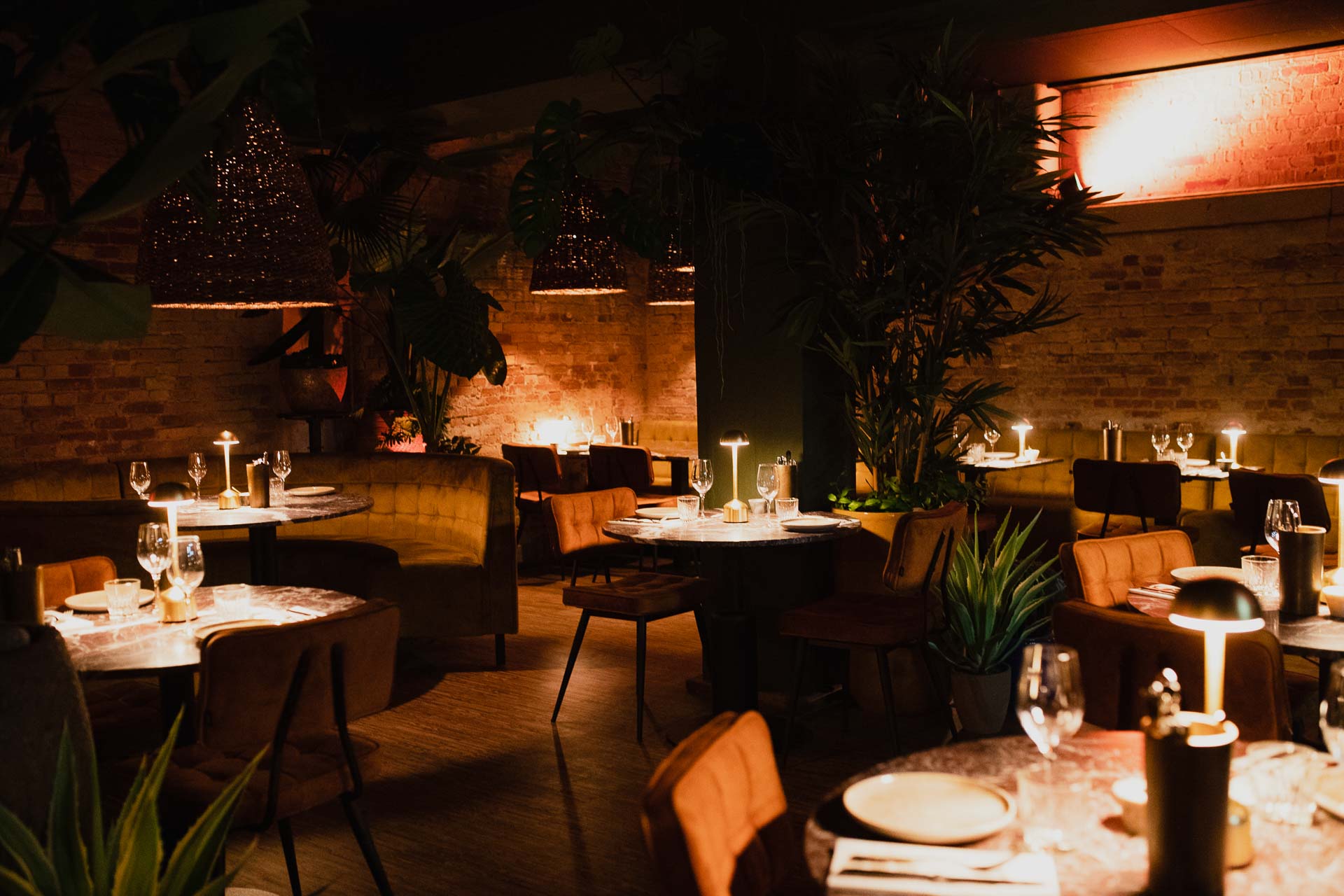 Restaurant Cinco – Sydamerikansk mad på Klostertorvet