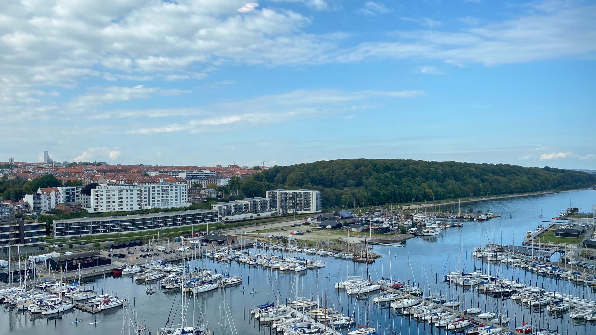 Den Fede Drue - vin- og cocktailbar på Aarhus Ø