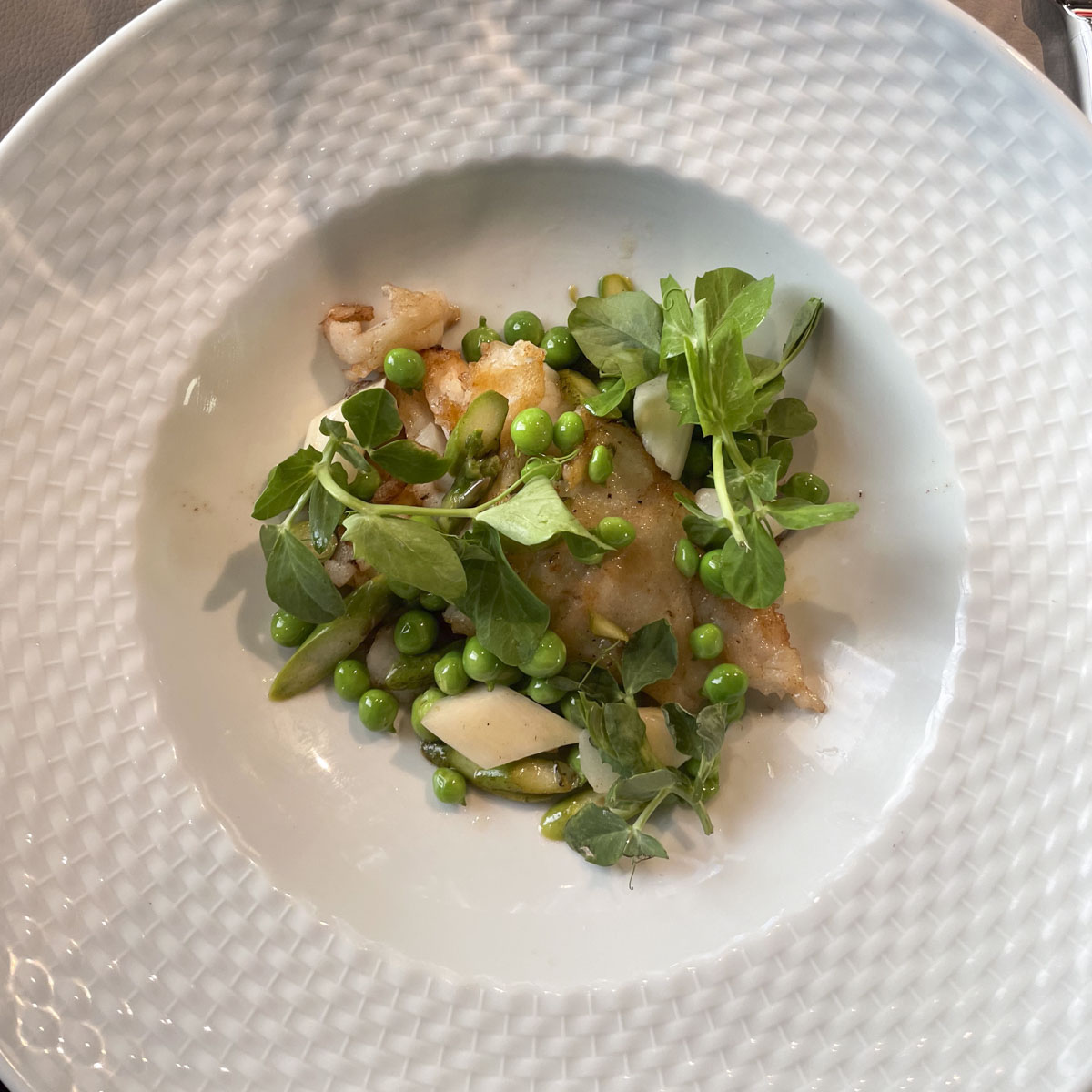 Tiende – Restaurant på Aarhus Ø | Udsigt fra toppen af Nicolinehus